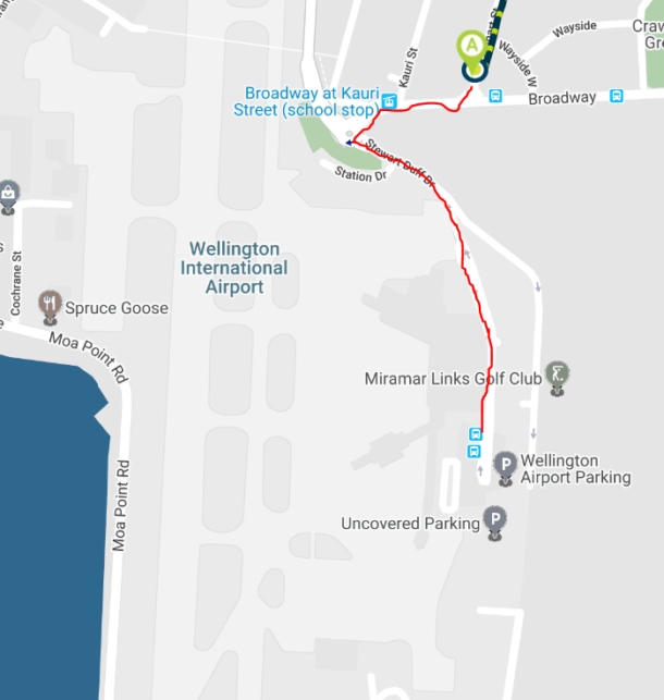 Wellington Airport Flyer bus dumps Snapper, hikes prices. - TravelTalk NZ